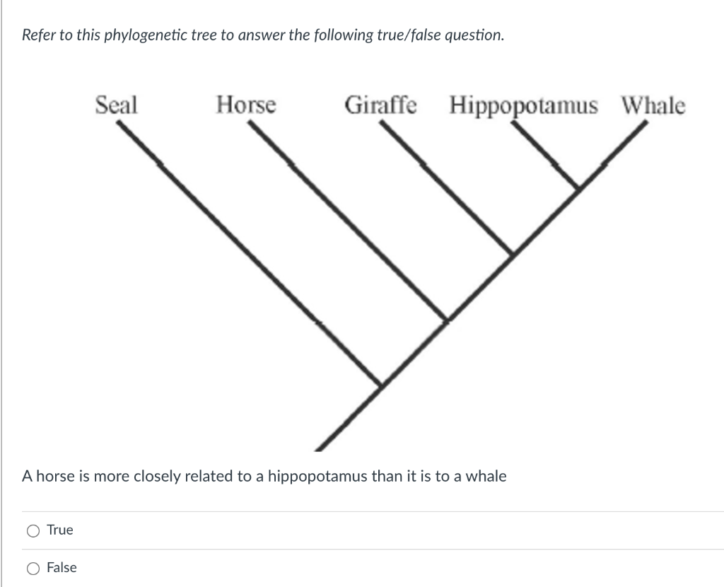 [Solved]: Refer to this phylogenetic tree to answer the fo