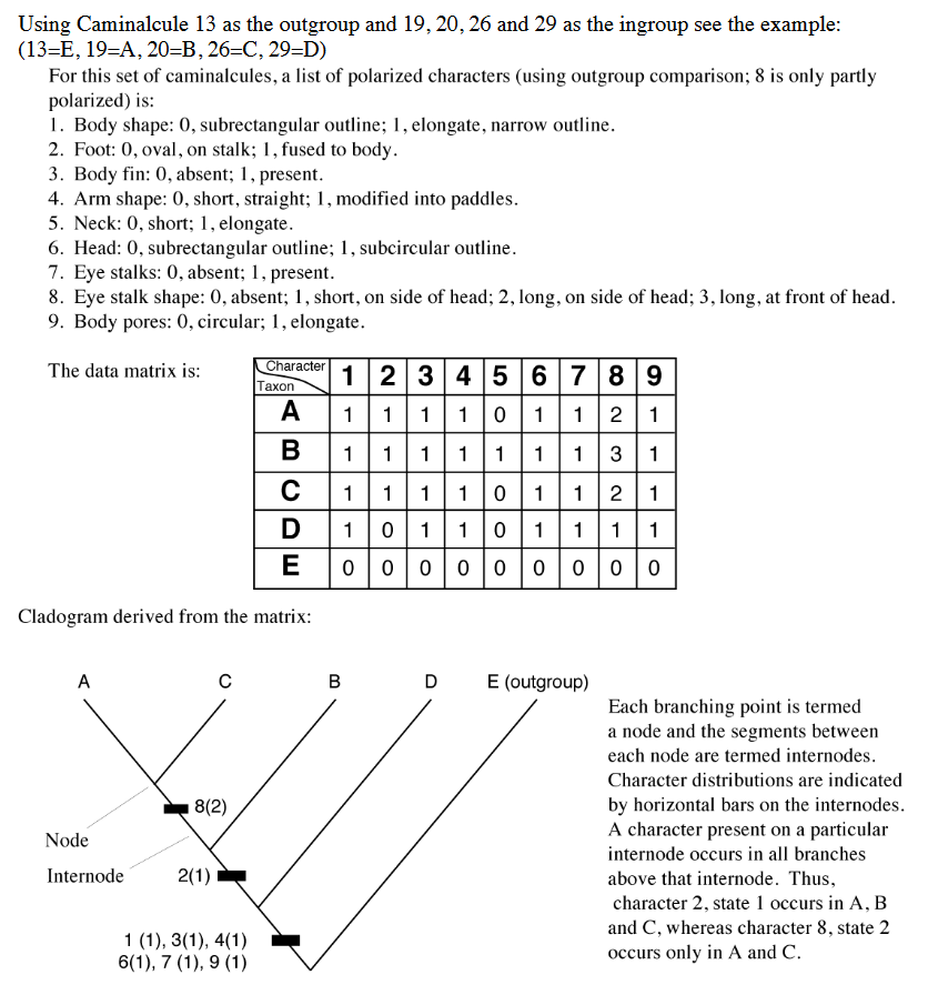 Solved Construct a cladogram (as in the example below) for | Chegg.com