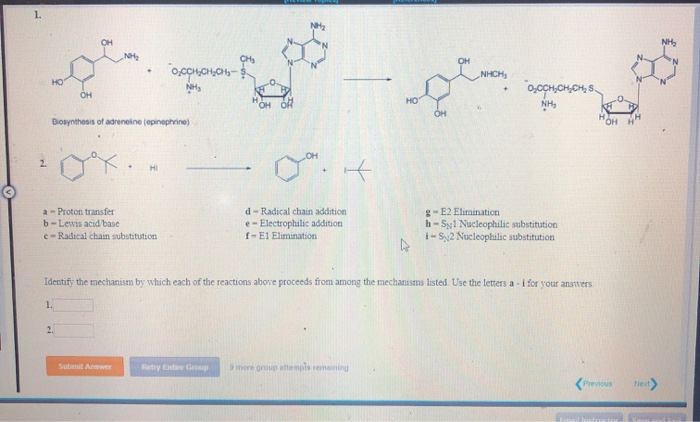 Solved 1. NH2 NH OH NH2 CHs N OH o,0CHCH,ON- NHCH HO | Chegg.com