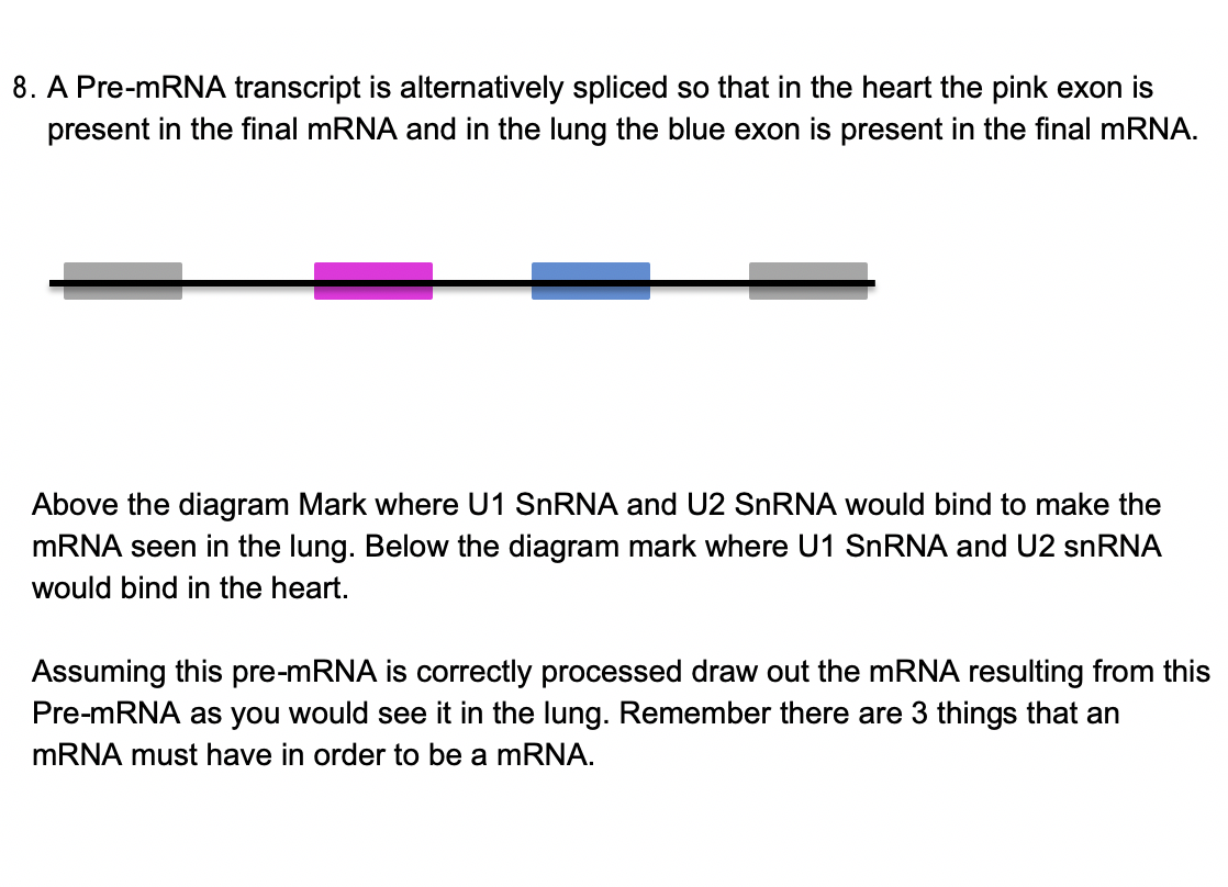 8. A Pre-mRNA transcript is alternatively spliced so | Chegg.com