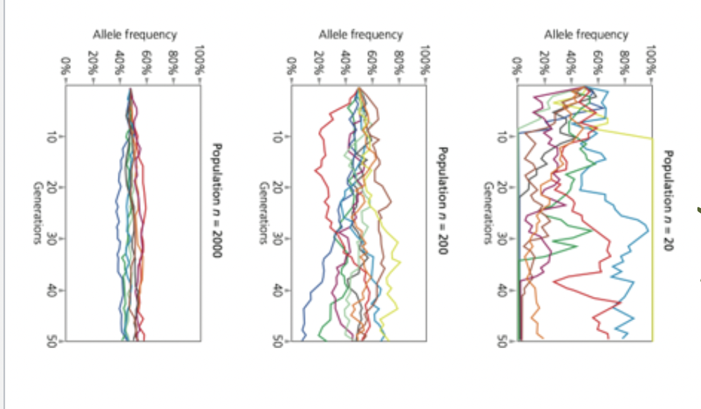 The following graphs show changes in frequency of one | Chegg.com