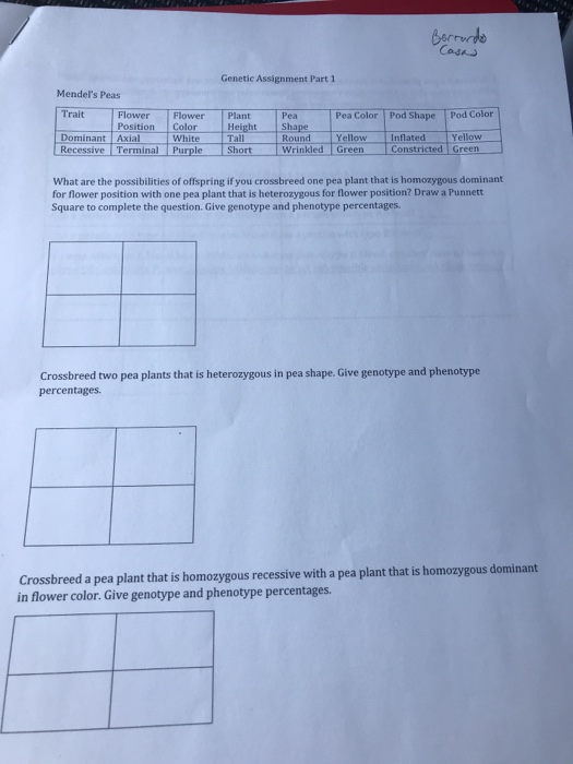 Solved Genetic Assignment Part 1 Mendel's Peas Plant Pea Pea | Chegg.com