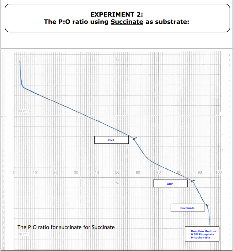 Solved What value range was your estimate for the P:O ratio | Chegg.com