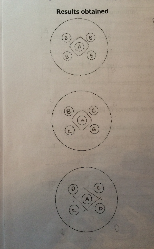 Solved Please explain the current identity pattern results | Chegg.com