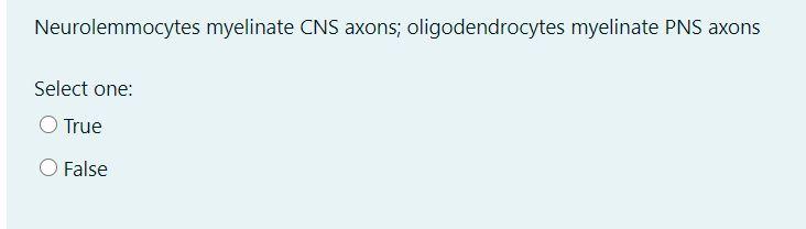 Solved Neurolemmocytes myelinate CNS axons; oligodendrocytes | Chegg.com