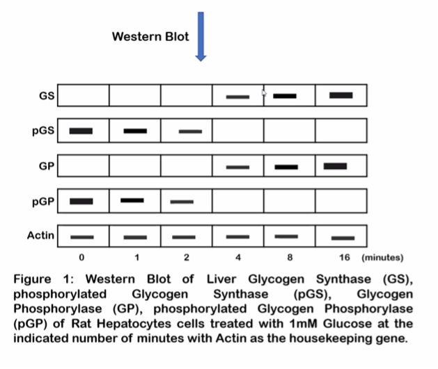 Solved Help. Thanks qualitatively, rate the intensity of | Chegg.com