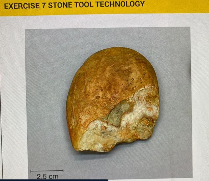 Solved EXERCISE 7 STONE TOOL TECHNOLOGY 2.5 cm What type | Chegg.com