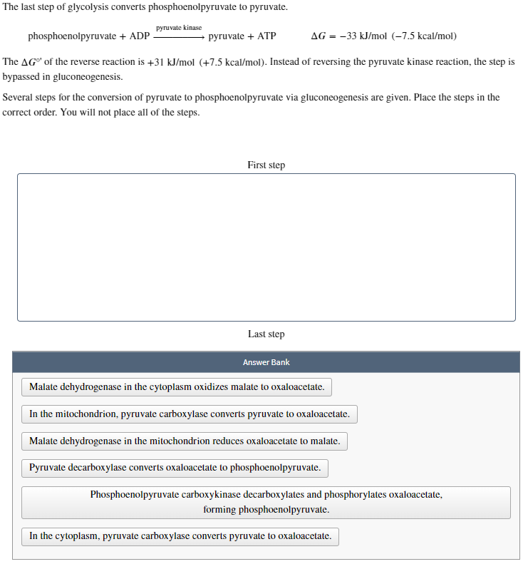 Solved phosphoenolpyruvate +ADP pyruvate kinase pyruvate | Chegg.com