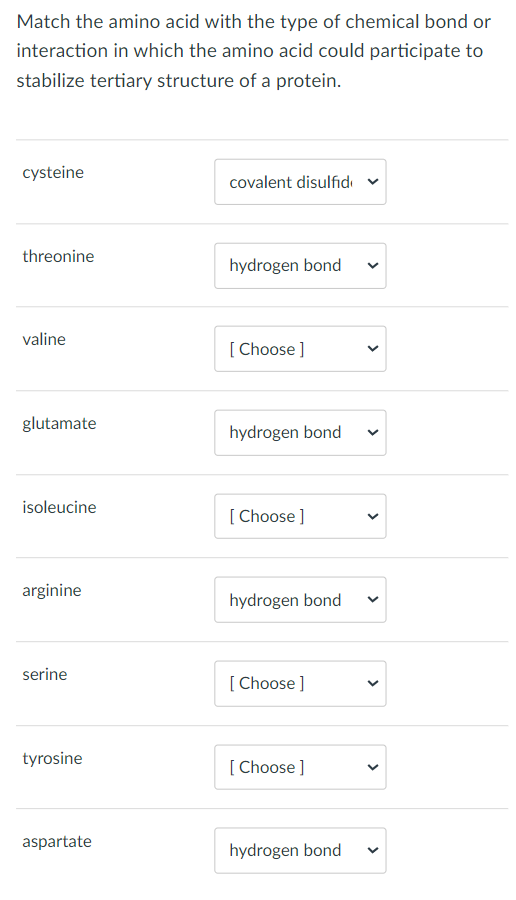 Solved Match the amino acid with the type of chemical bond | Chegg.com