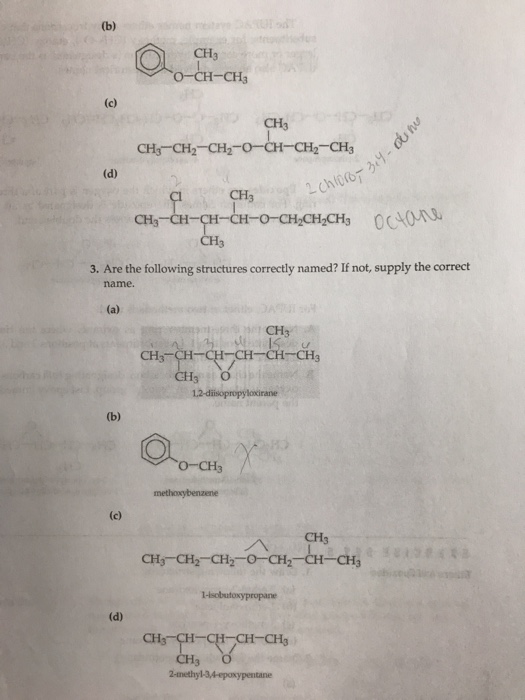 Solved 2cydopent 2,3-epoxypentane 1-cyclopentyl- 1. Draw the | Chegg.com