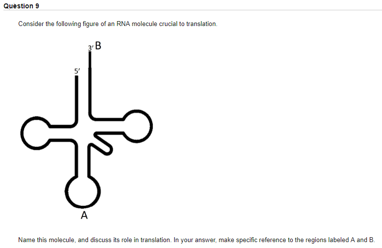 Solved Question 9 Consider the following figure of an RNA | Chegg.com