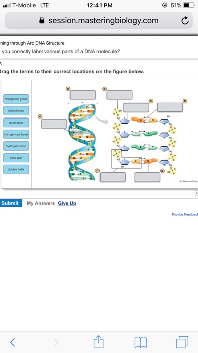 Solved: T-Mobile LTE 2:41 PM @ 51% D. A Session.mastering... | Chegg.com