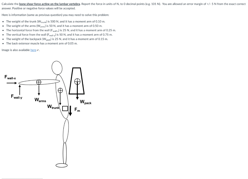 Solved Calculate the bone shear force acting on the lumbar | Chegg.com