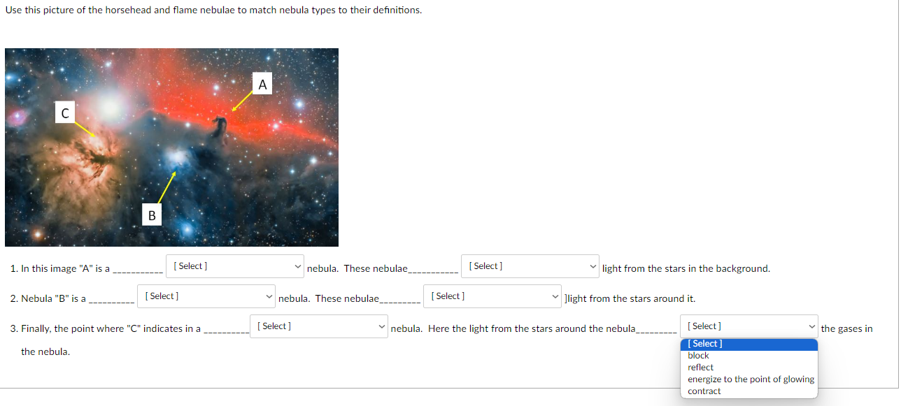Solved 1. ﻿ In this image "A" ﻿is a | Chegg.com