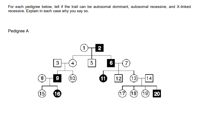 Solved For each pedigree below, tell if the trait can be | Chegg.com