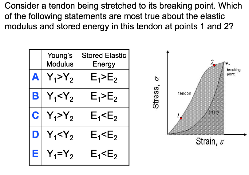 Solved Consider a tendon being stretched to its breaking | Chegg.com