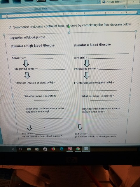 Solved Picture Effects 11. Summarize endocrine control of | Chegg.com