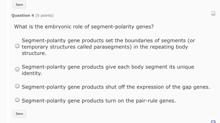 Solved Save Question 4 (5 points) What is the embryonic role | Chegg.com