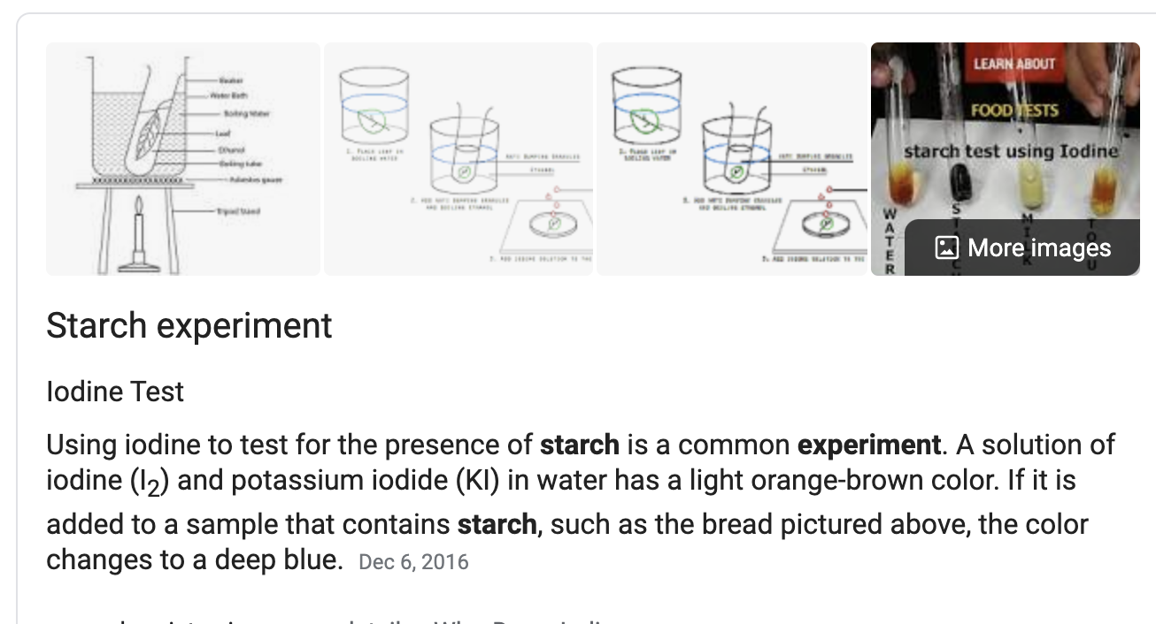 Solved LEARN ABOUT o FOOD TESTS starch test using Iodine 10 | Chegg.com