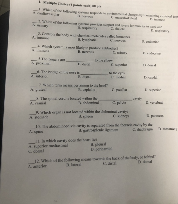 Solved I. Multiple Choice (4 points each) 80 pts 1. Which of | Chegg.com