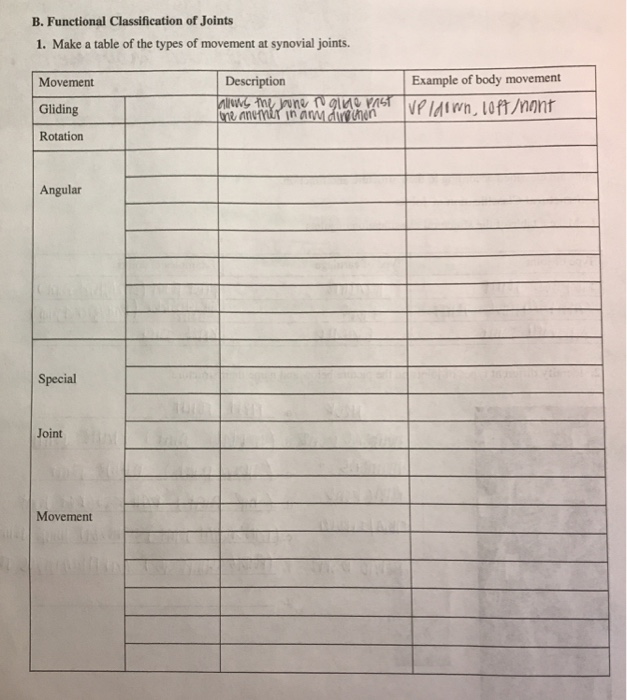 Solved B. Functional Classification of Joints 1. Make a | Chegg.com