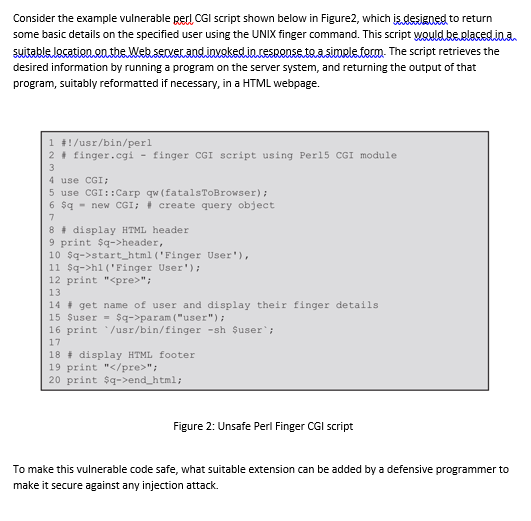 Consider the example vulnerable Recl CGI script shown | Chegg.com