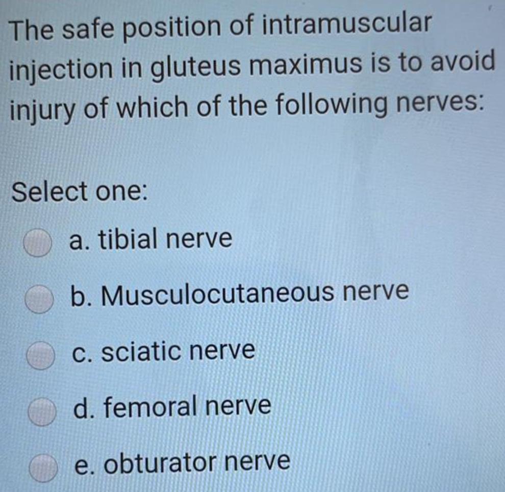 Solved The safe position of intramuscular injection in | Chegg.com