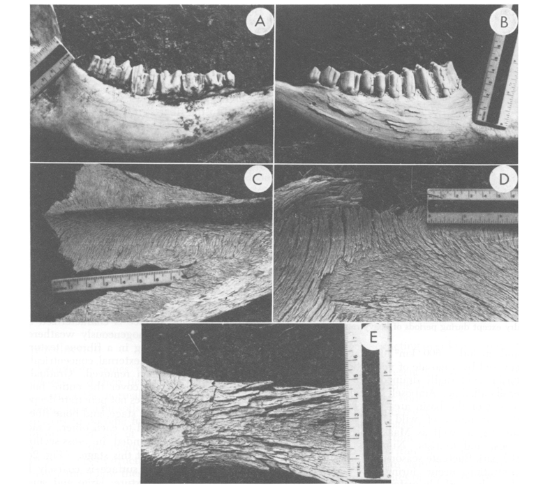 Solved WeatheringCase Scenario 1.Mountain climbers | Chegg.com