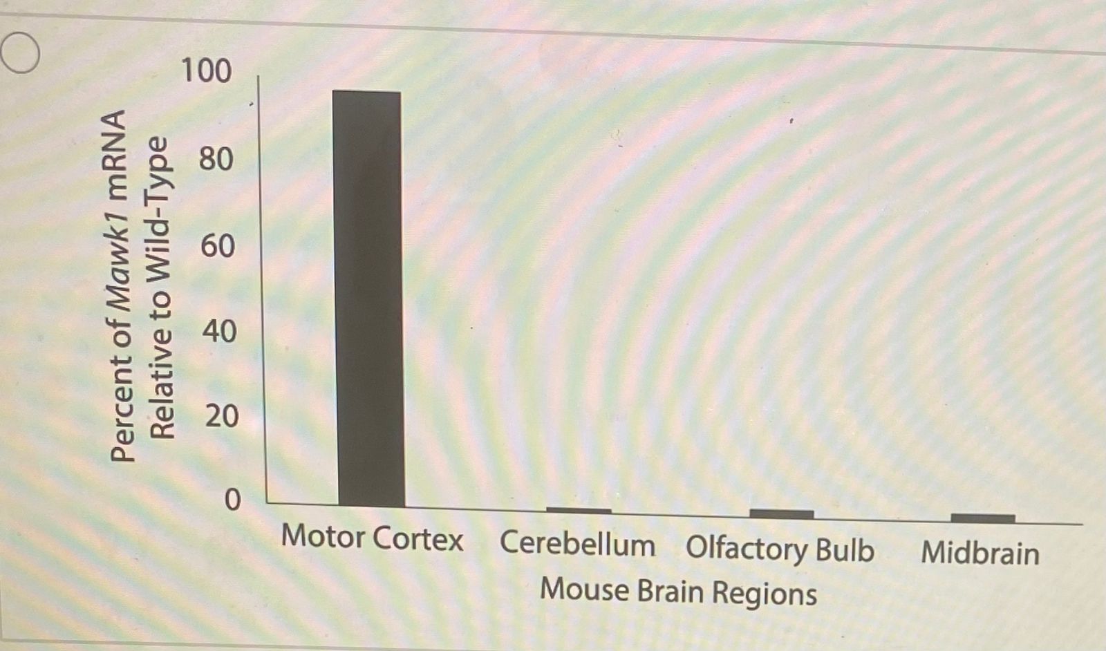 Solved Further Analysis of C. elegans Coordination | Chegg.com