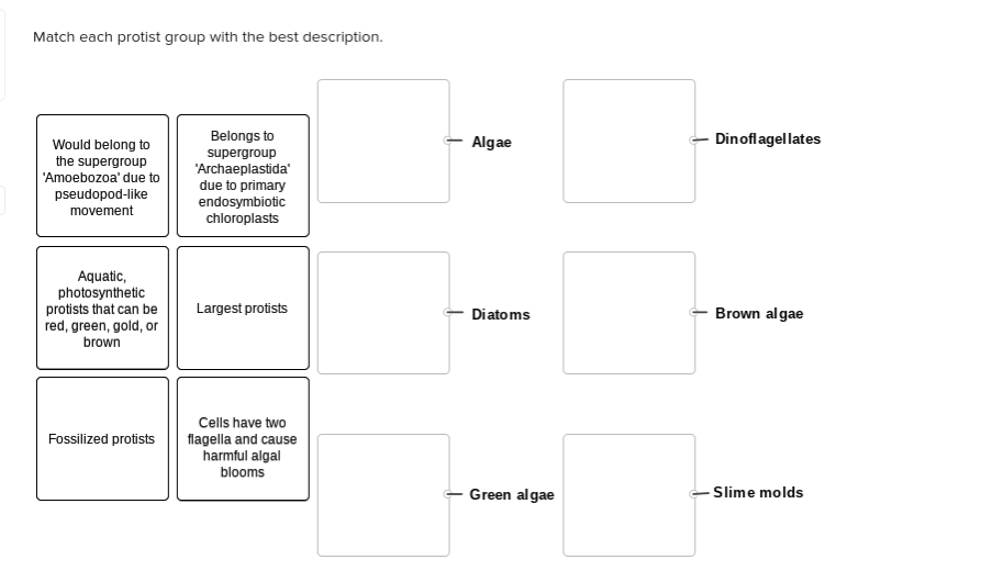 Solved Match each protist group with the best description. | Chegg.com