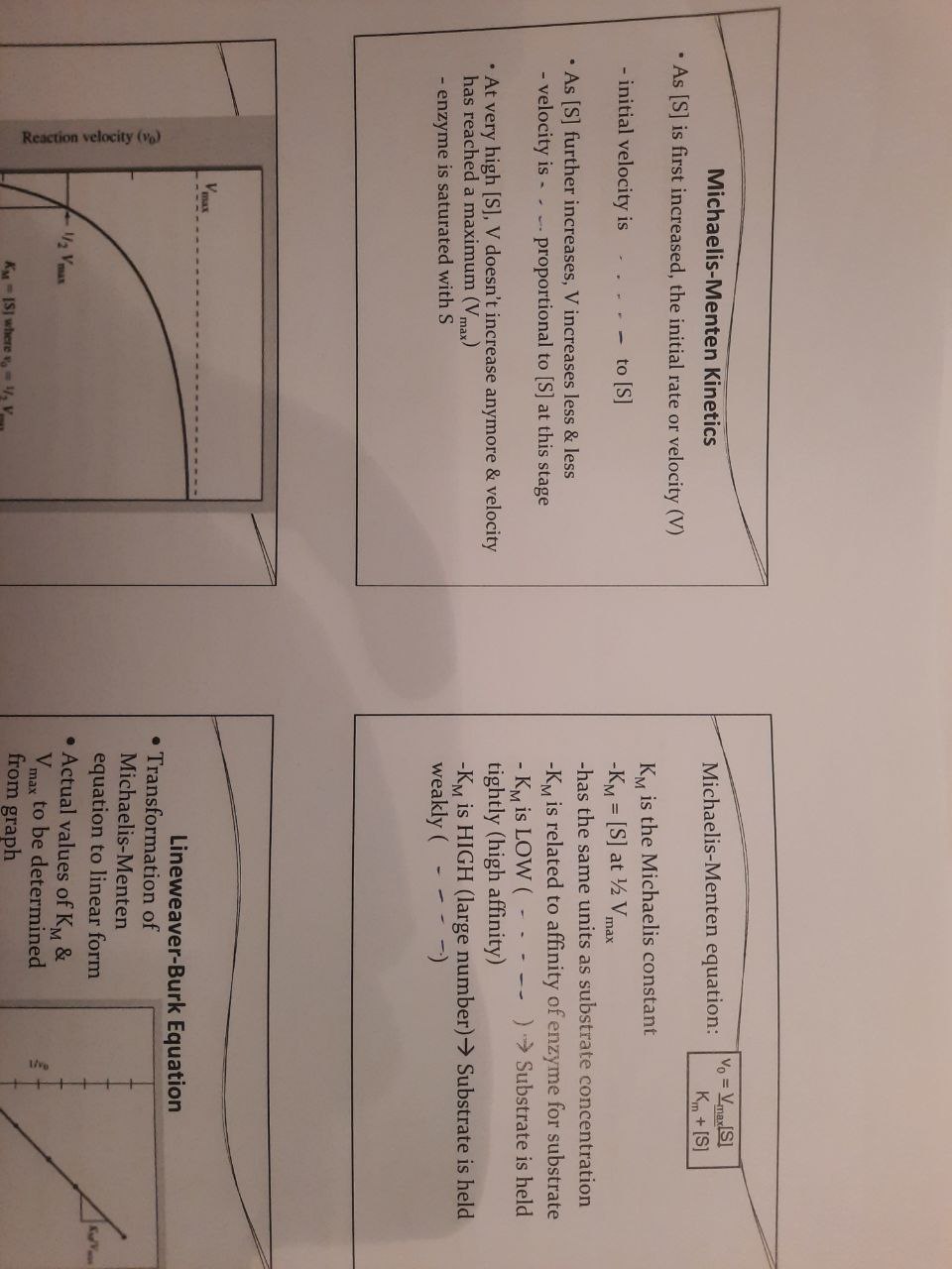 Solved Michaelis-Menten Kinetics - As [S] is first | Chegg.com