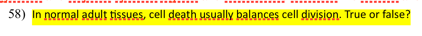 Solved In normal adult tissues, cell death usually balances | Chegg.com