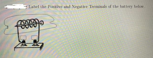 Solved Label the Positive and Negative Terminals of the | Chegg.com