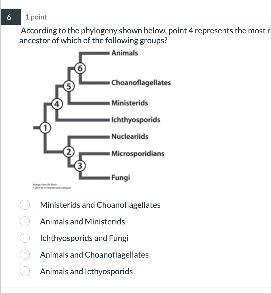 Solved According to the phylogeny shown below, point 4 | Chegg.com