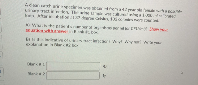 Solved A clean catch urine specimen was obtained from a 42 | Chegg.com