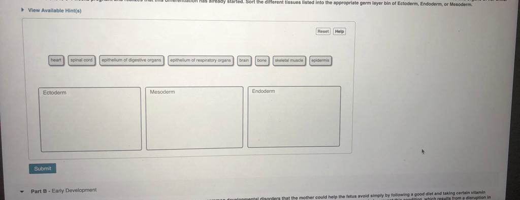 Solved Part D - Sequence of Development After all of her | Chegg.com
