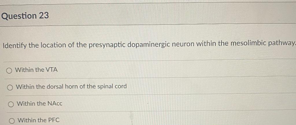 Solved Identify the location of the presynaptic dopaminergic | Chegg.com