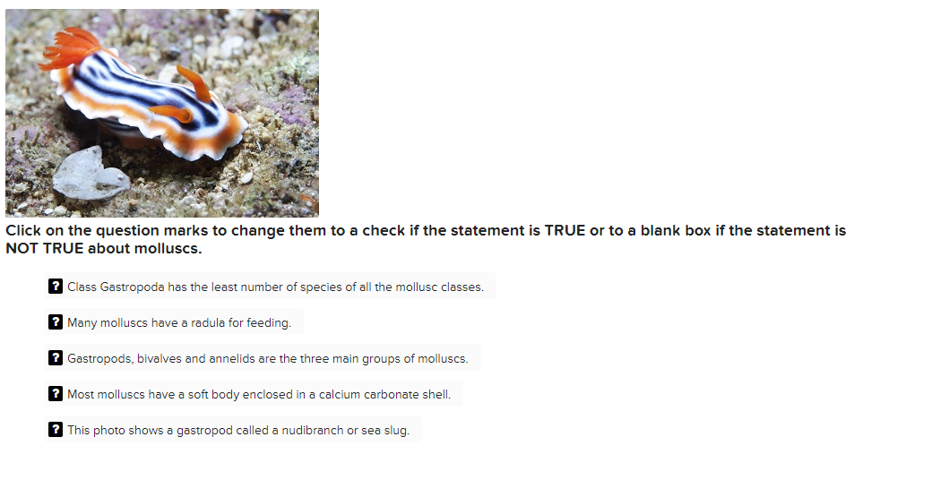 Solved As many as 30,000 species of lamp shells are known | Chegg.com