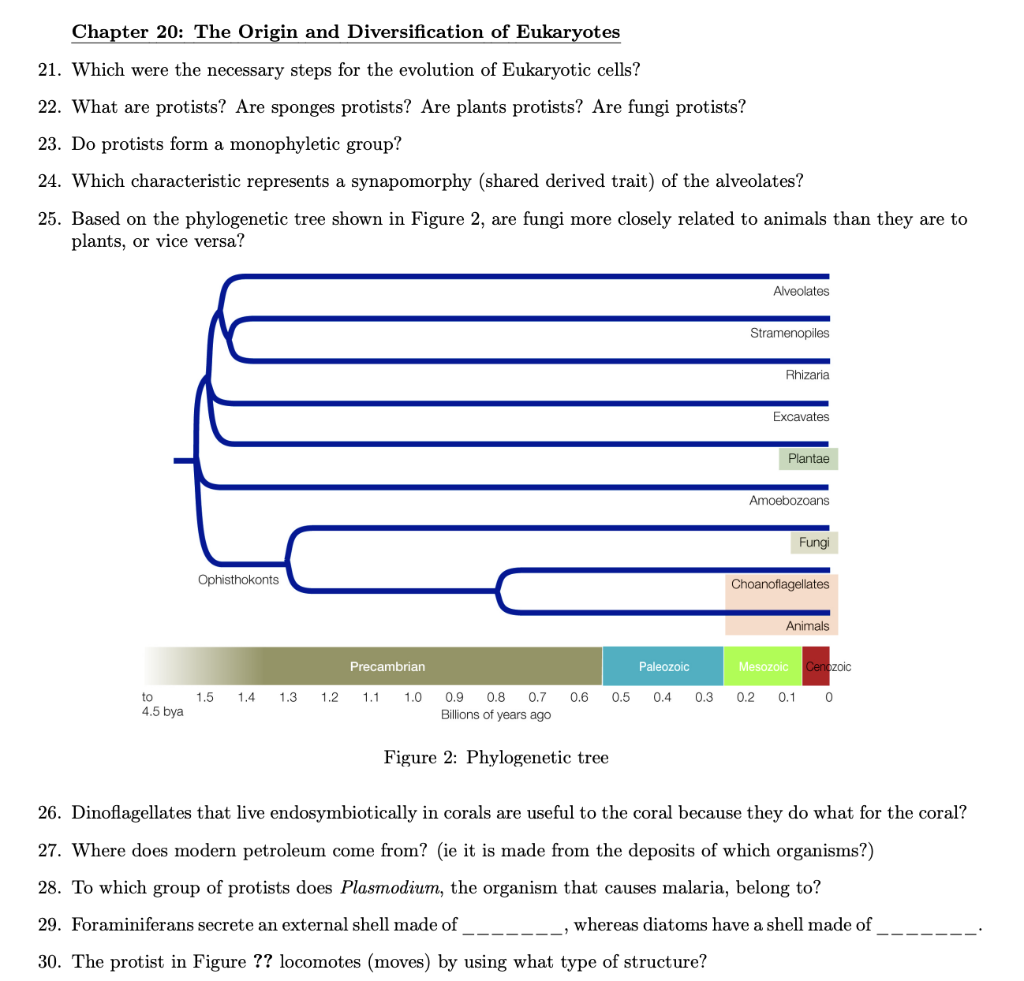 Solved Chapter 20: The Origin and Diversification of | Chegg.com