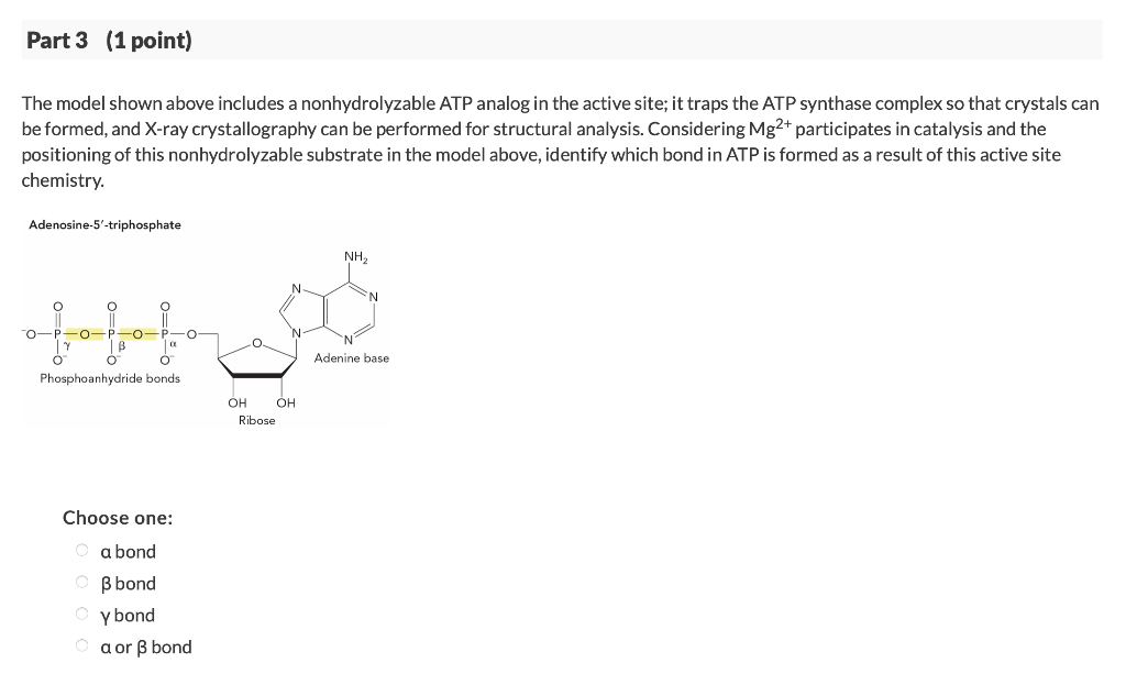 Solved Shown here is the ATP synthase complex bound to a | Chegg.com