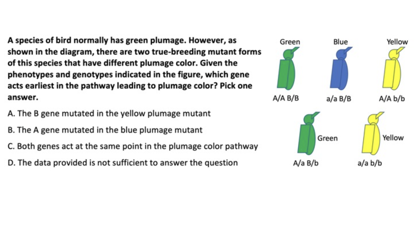 Solved A species of bird normally has green plumage. | Chegg.com