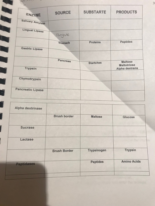 Solved SOURCE SUBSTARTE PRODUCTS ENZYME Salivary Amylase | Chegg.com