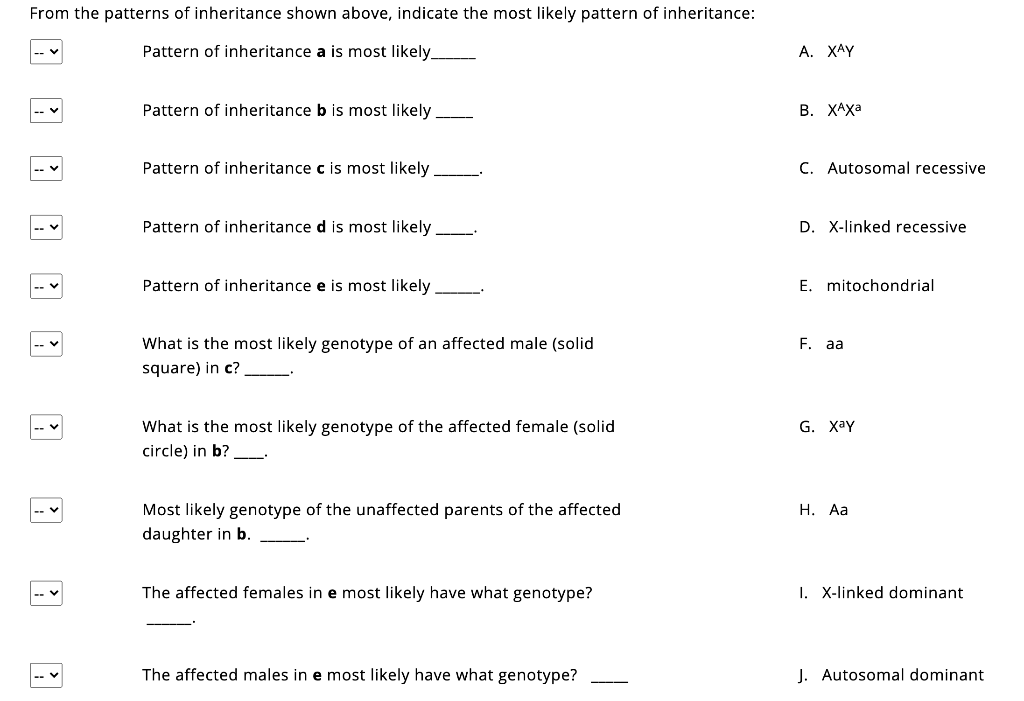 Solved (1 of 1) Fill-in Matching Genetics Assignment 16: | Chegg.com