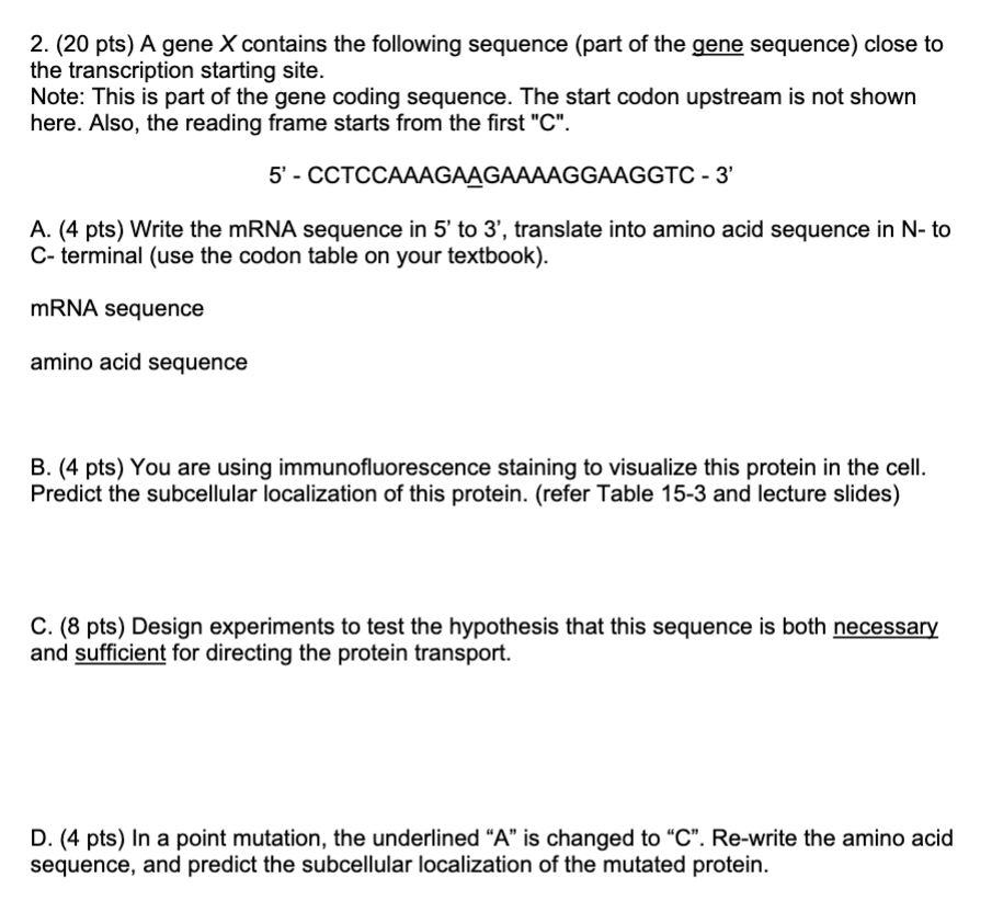 Solved 2. (20 pts) A gene X contains the following sequence | Chegg.com Solved 2. (20 pts) A gene X contains the following sequence | Chegg.com