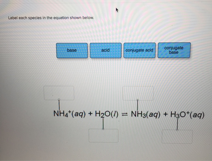 Solved Label each species in the equation shown below. | Chegg.com