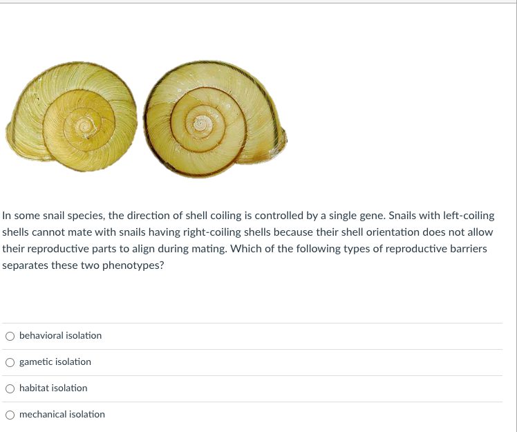 Solved In some snail species, the direction of shell coiling | Chegg.com