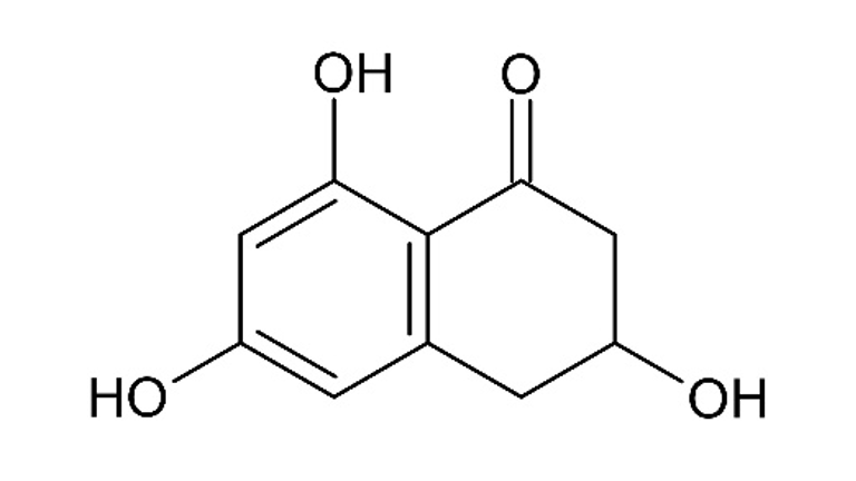 Draw the precursor of the compound. This compound is | Chegg.com