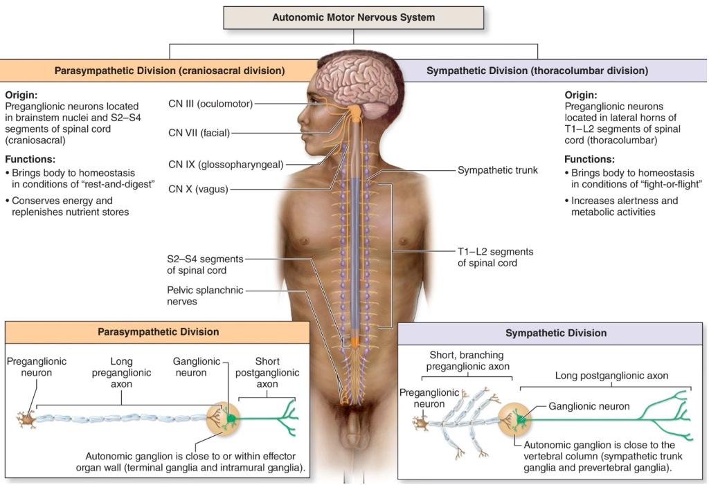 Solved SNS | Chegg.com