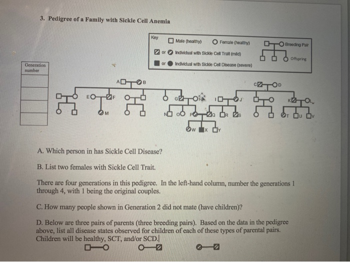 Solved 3. Pedigree of a Family with Sickle Cell Anemia Key | Chegg.com