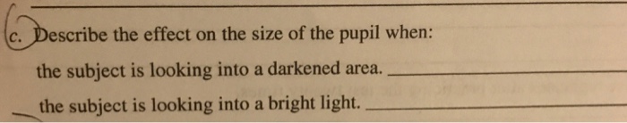Solved ?.pescribe the effect on the size of the pupil when : | Chegg.com